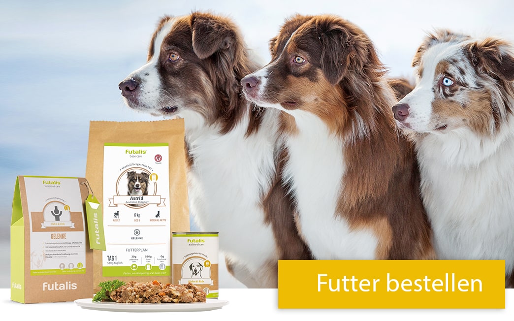 Rassefutter: Für jeden Hund das passende Futter » futalis.de