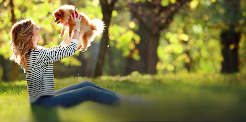 futalis® Individuelle Hundenahrung von Tierärzten entwickelt