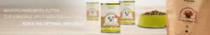 Purinarmes Hundefutter – was ist Purin?